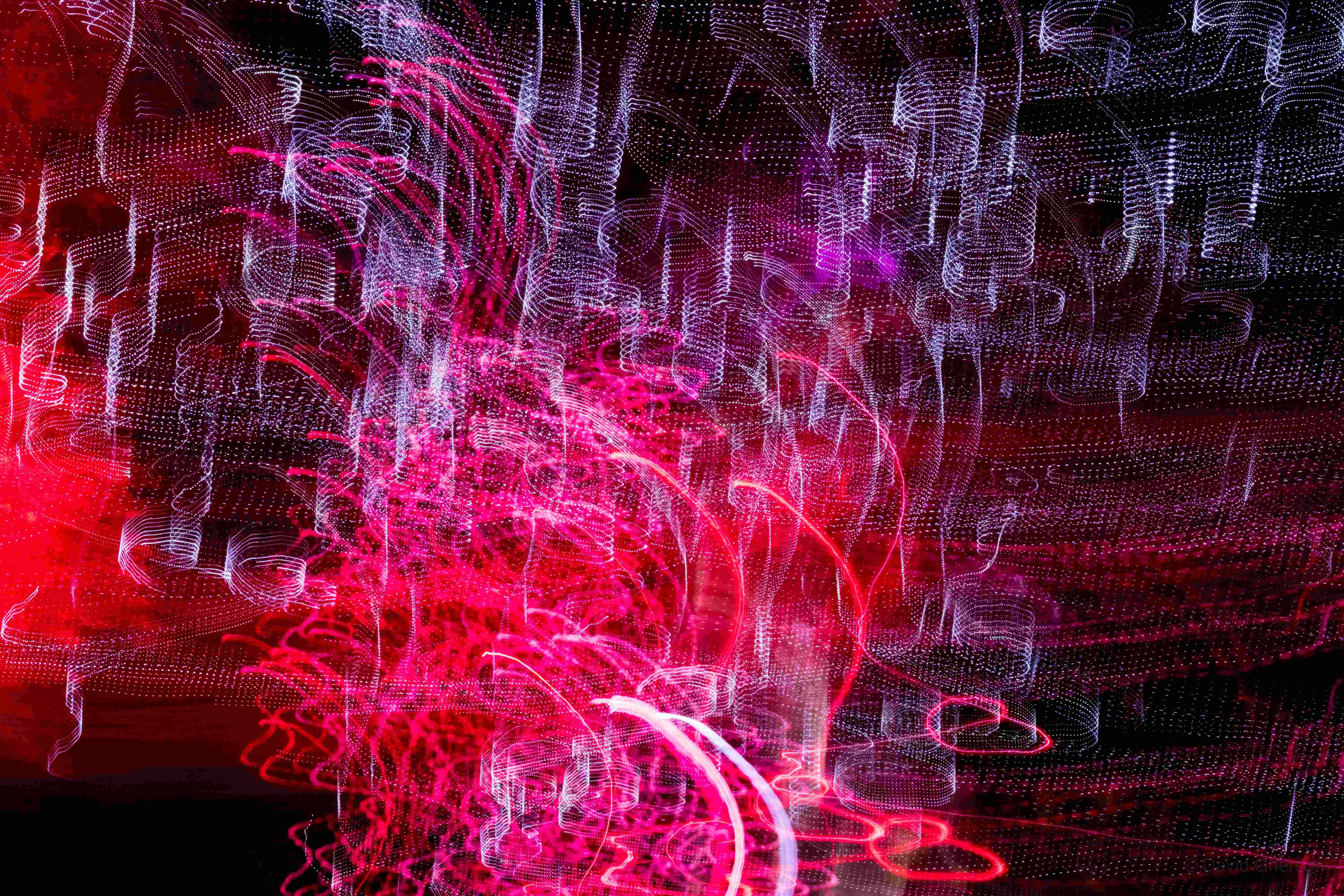 Photography :: David Grierson