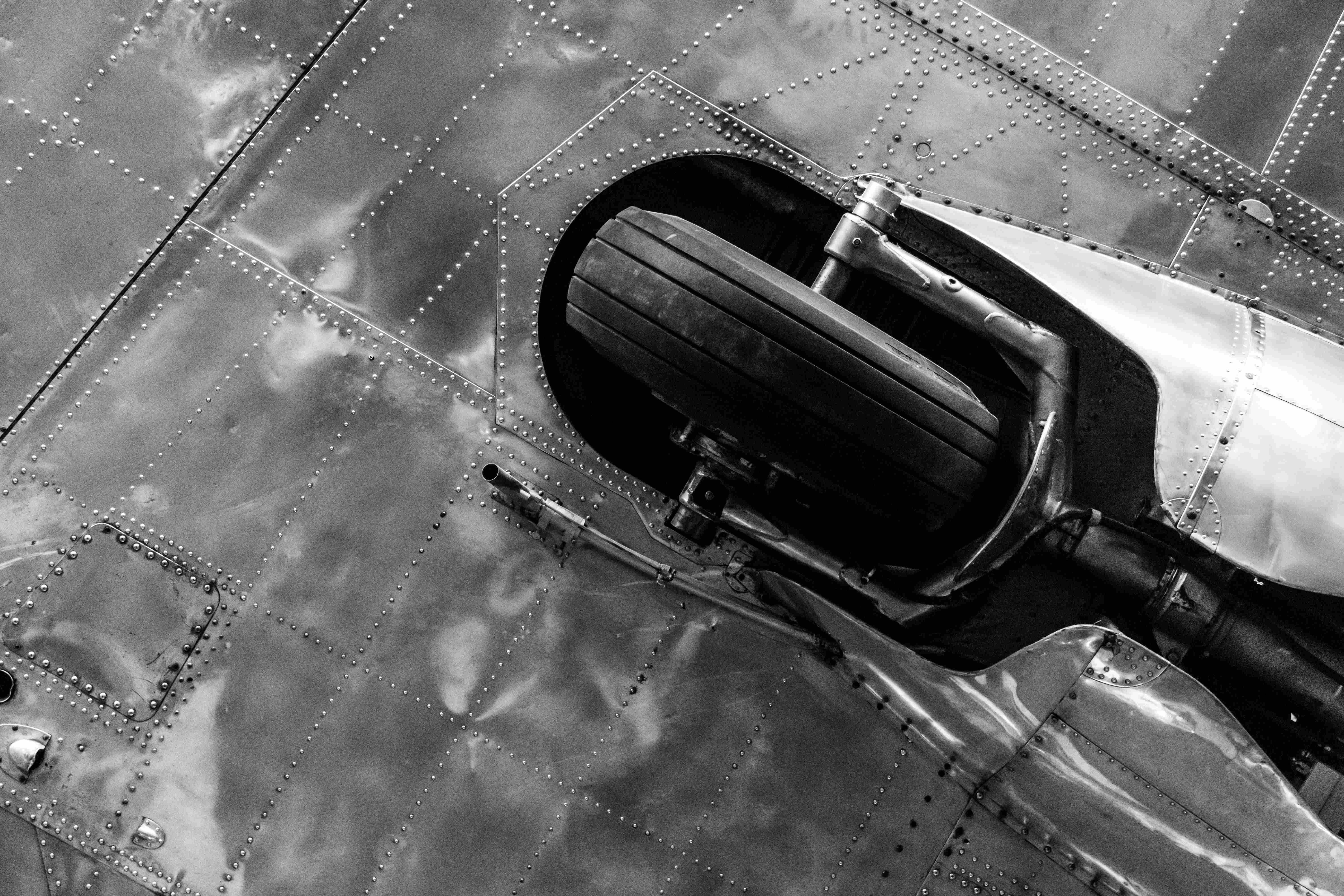 Photography :: David Grierson