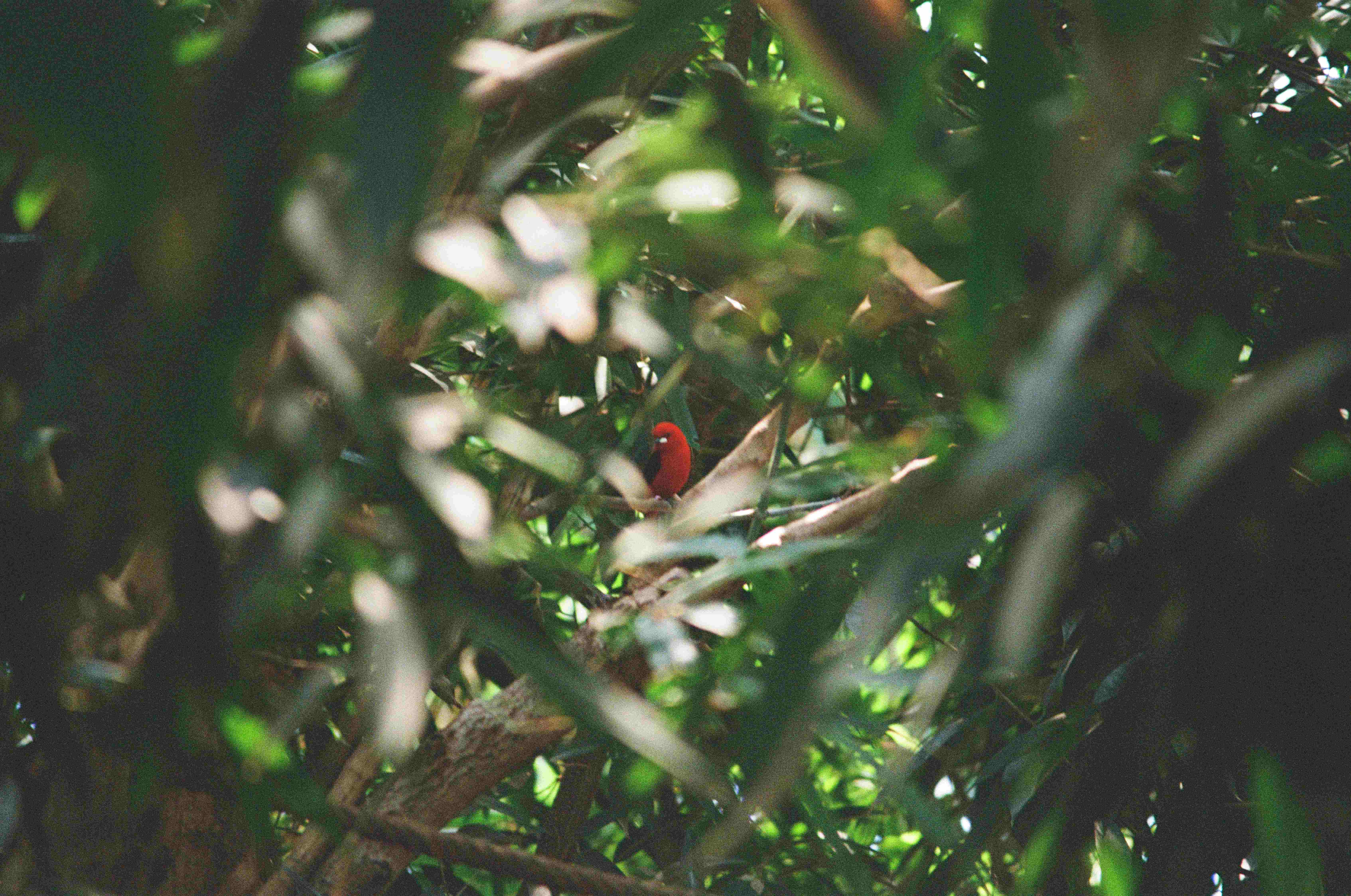 Photography :: David Grierson