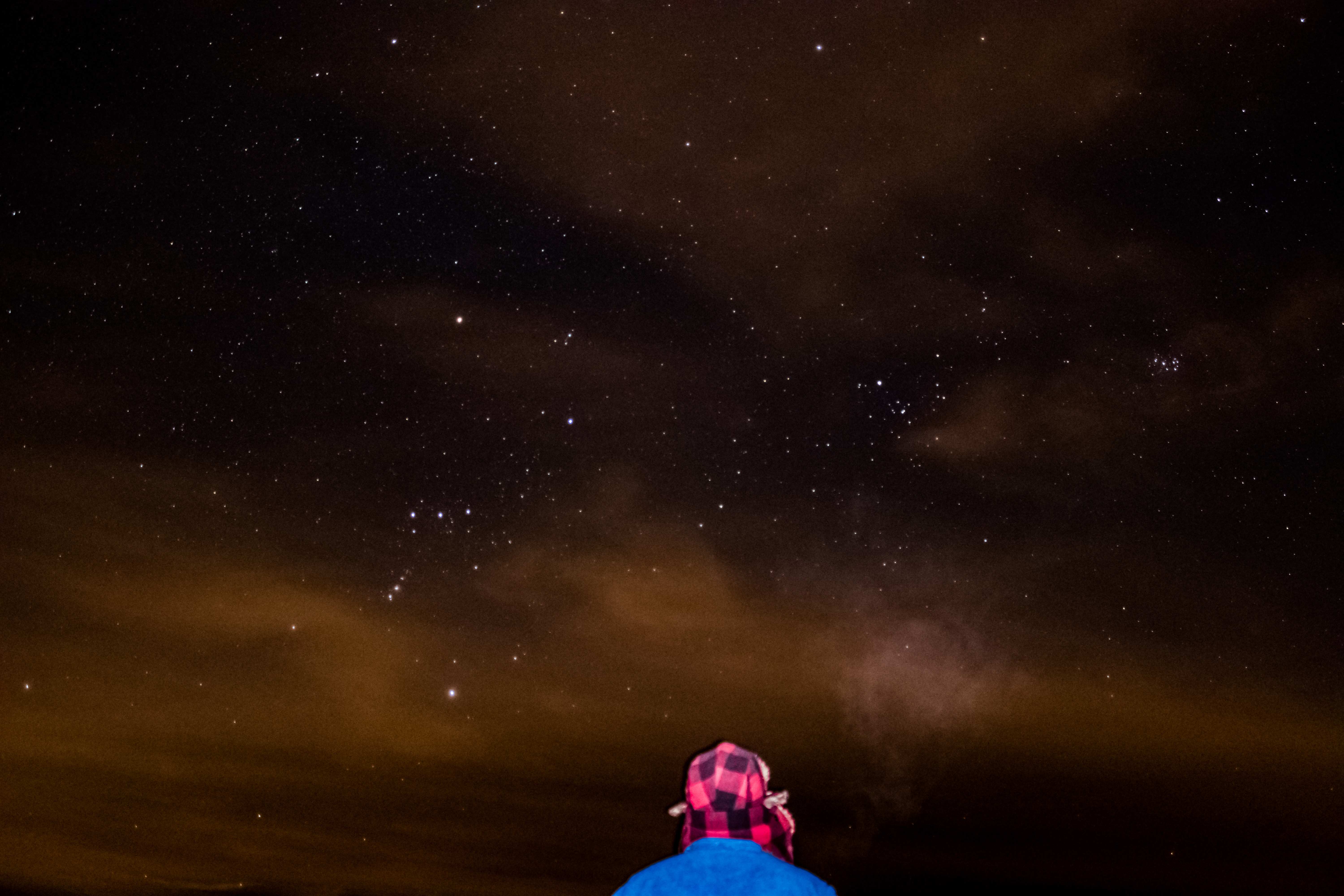 Photography :: David Grierson